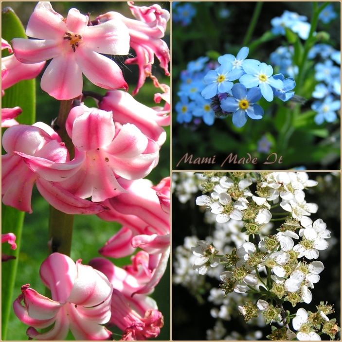 Mami Made It: Blossoms in April - Blüten im April