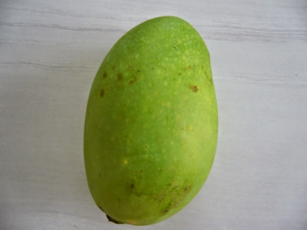 Fruits tropicaux du Cameroun & Bonabio: Les mangues d'Africa Bio Cameroun