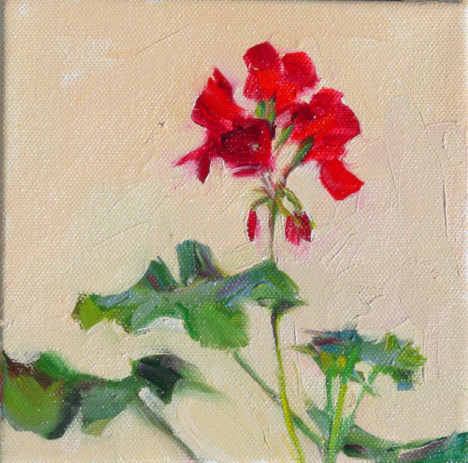 Art Every Day : Geranium Plant,still life,oil on canvas,6x6,Price$200