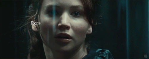 Just a Spoonful of Sass: Happy Hunger Games, and May the odds be ever ...