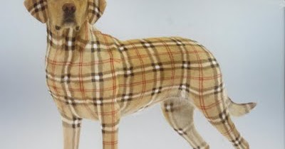 Redefining the Face Of Beauty