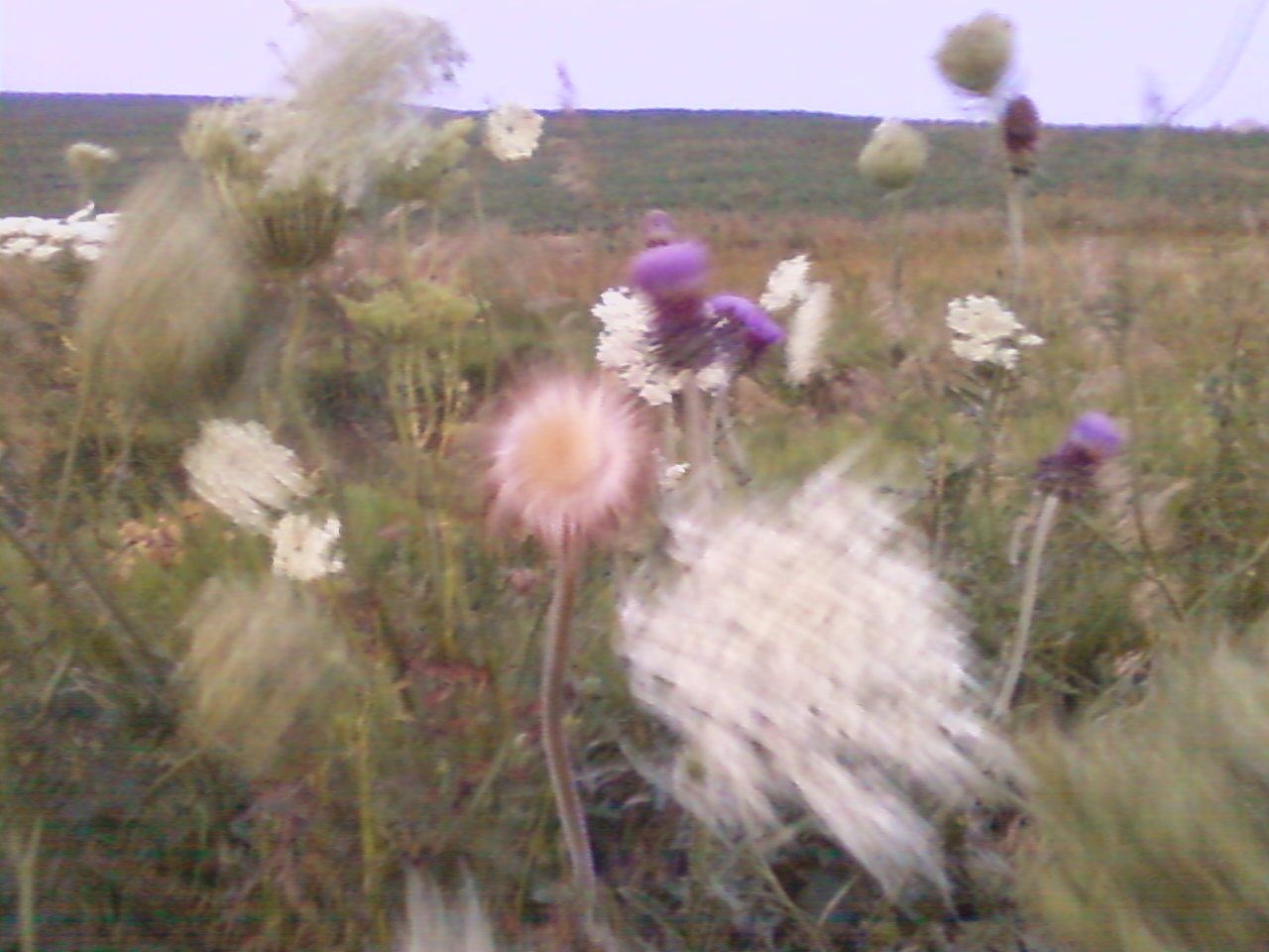 Beam The Light Be The Change: A Healing Journey Part Four: Pictorial