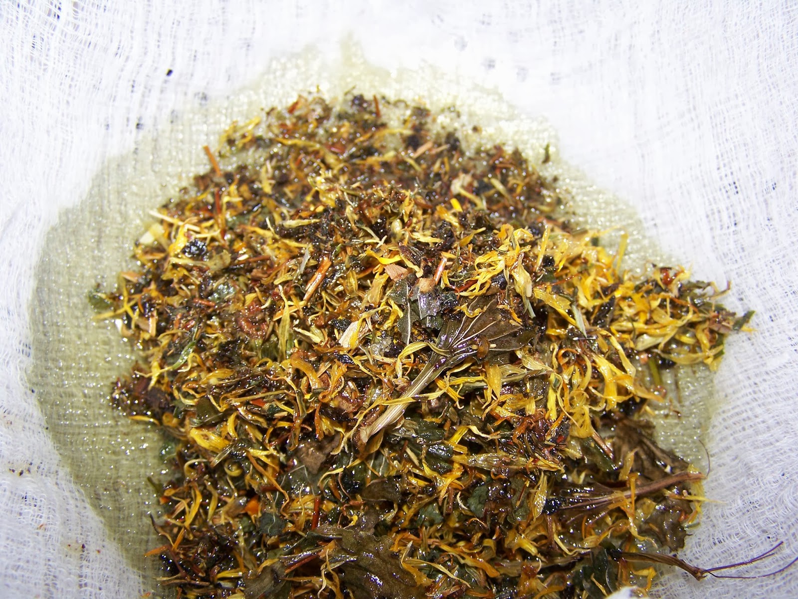 Midlife Homesteading