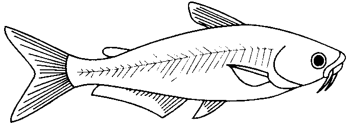 Sekitar Kawasan Sekolah: Gambar Outline_Binatang