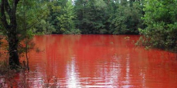 Blood Lakes in Inland of Bengkulu Indonesia | The Wonderful's World
