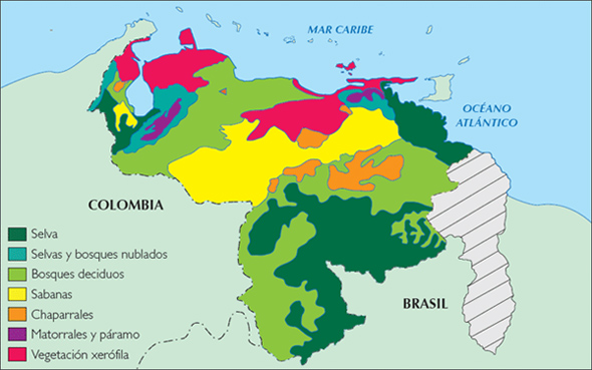 BIOMAS DE LA TIERRA : Biomas de Venezuela