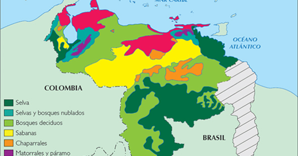 BIOMAS DE LA TIERRA : Biomas de Venezuela