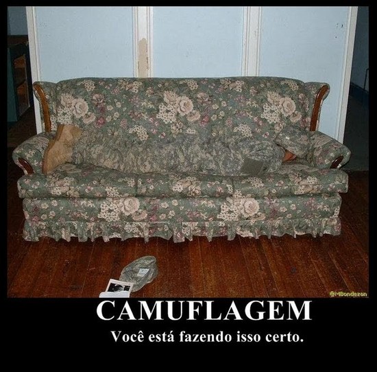 Memes da internet:Antídoto Certo