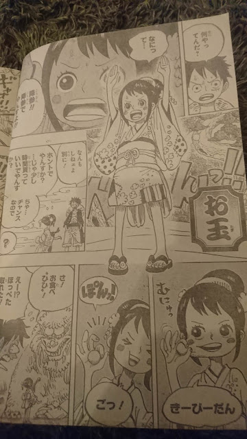 Spoiler Manga One Piece Chapter 911 English: A Great Adventure in the ...