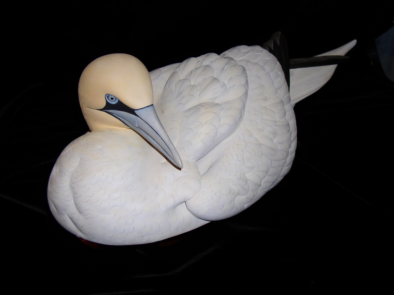 Keith Mueller Bird Carvings: Sea Bird Decoys 1 (Test)