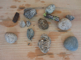 Fun Friday activities are quick-and-simple ways to explore nature in ...