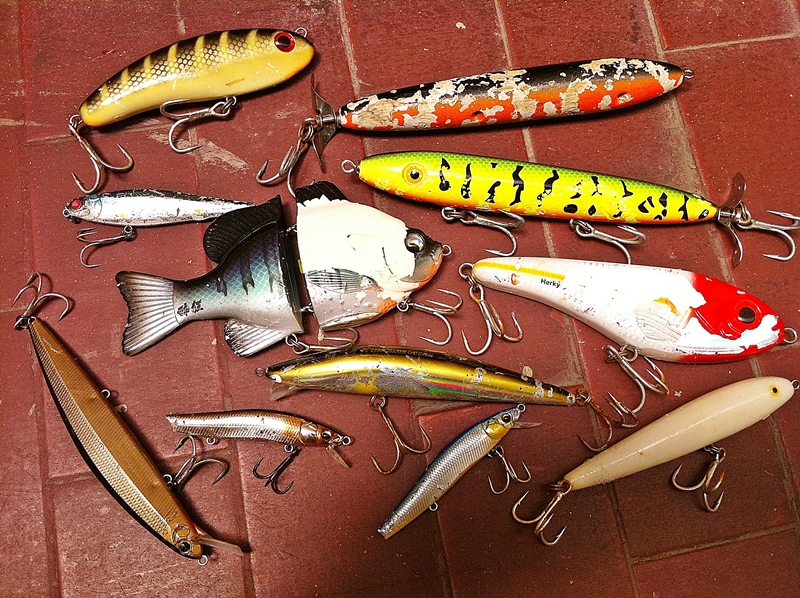 ANGLING WORLD 魔魚釣界: Adventure Fishing @ Amazonia Rio Negro