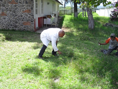 Pensamiento Libre: EL ACICATE...