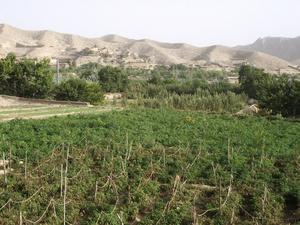 HANNA LAKE and URAK VALLEY ~ Pakistani Tourism