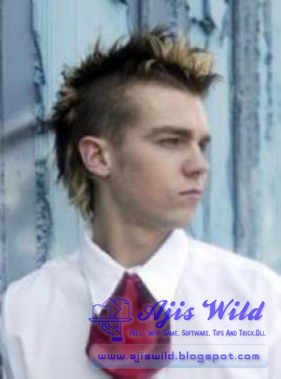 model rambut punk ~ pandu-mid
