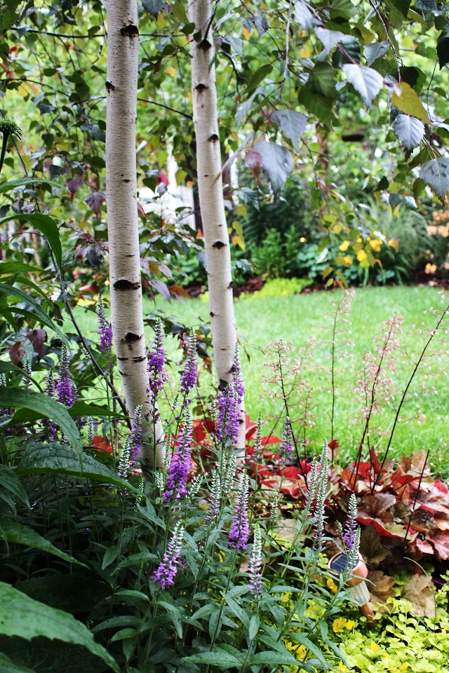 Color Outside the Lines: CDLV Garden Progress, Take Two