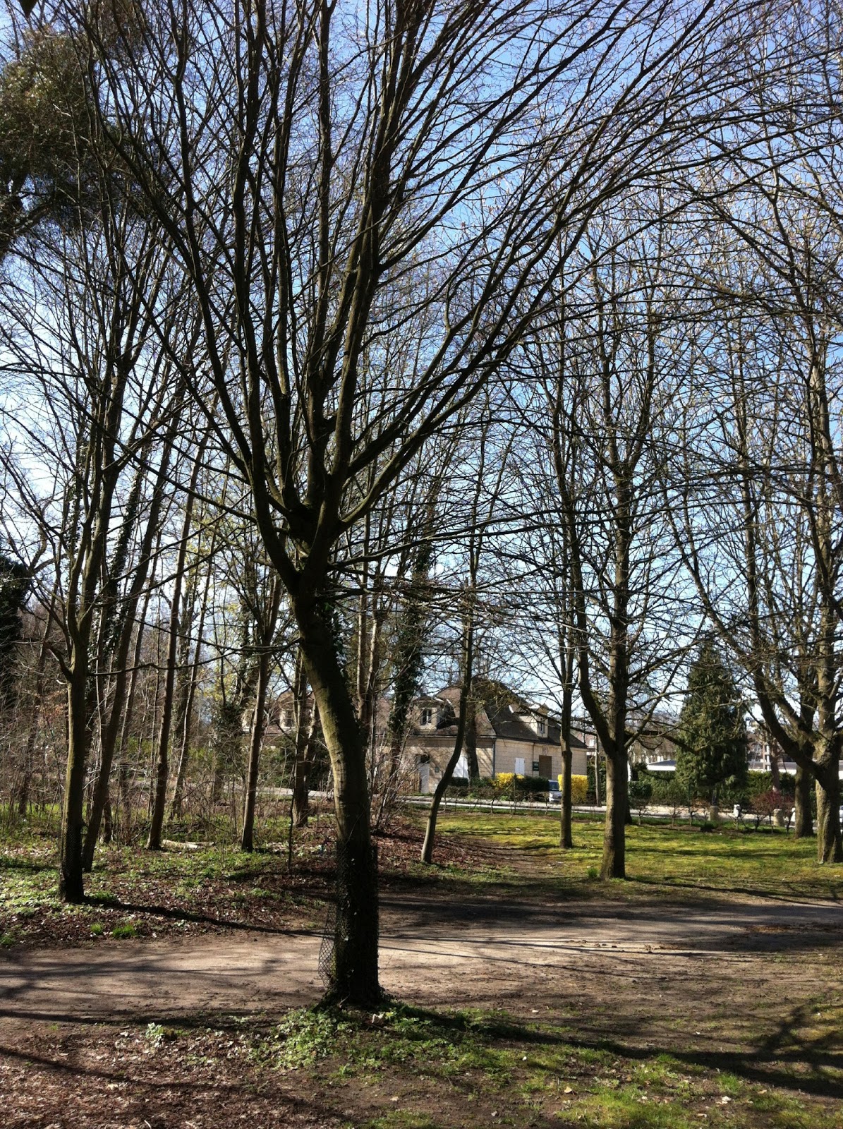 Postcards from Paris: What a difference a day makes....