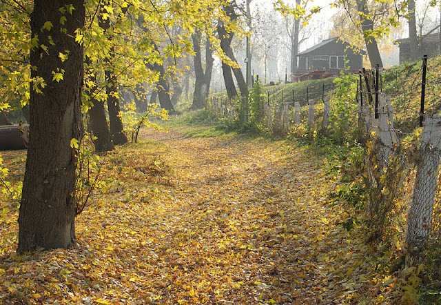Dunai Szigetek: Az elenyésző Pap-sziget Szentendrén