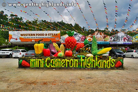 Bunga-bunga Kehidupan: Genting Strawberry Farm