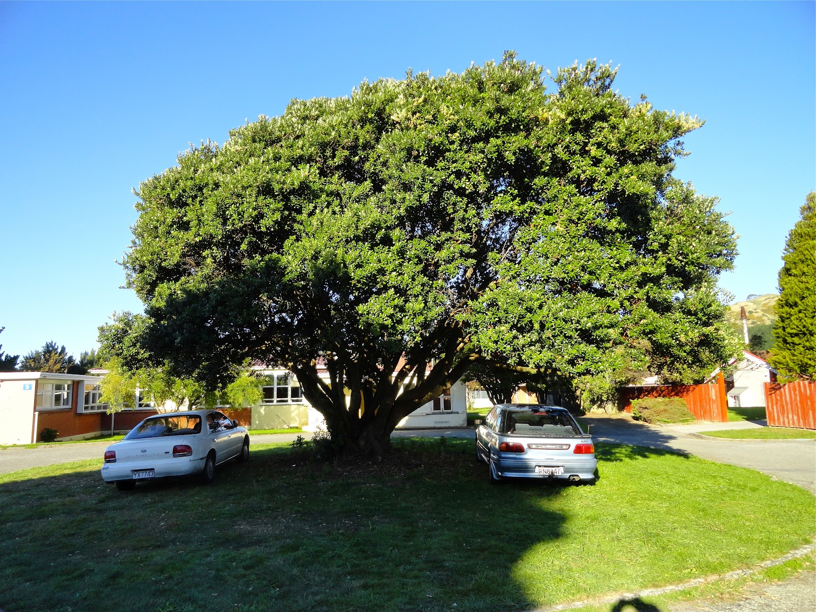 Sabbatical in New Zealand 2012: Mental Notes, the documentary film by ...