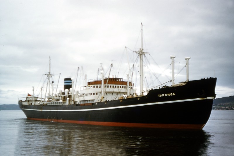 Teddview Audiovisual Archival Management (TAAM): M/S TARONGA