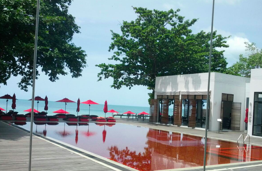 Serendipitylands: THE LIBRARY HOTEL (KOH SAMUI-TAILANDIA/THAILAND)