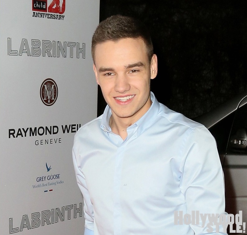 Liam Payne y Louis Tomlinson en el 20 aniversario de War Child ...