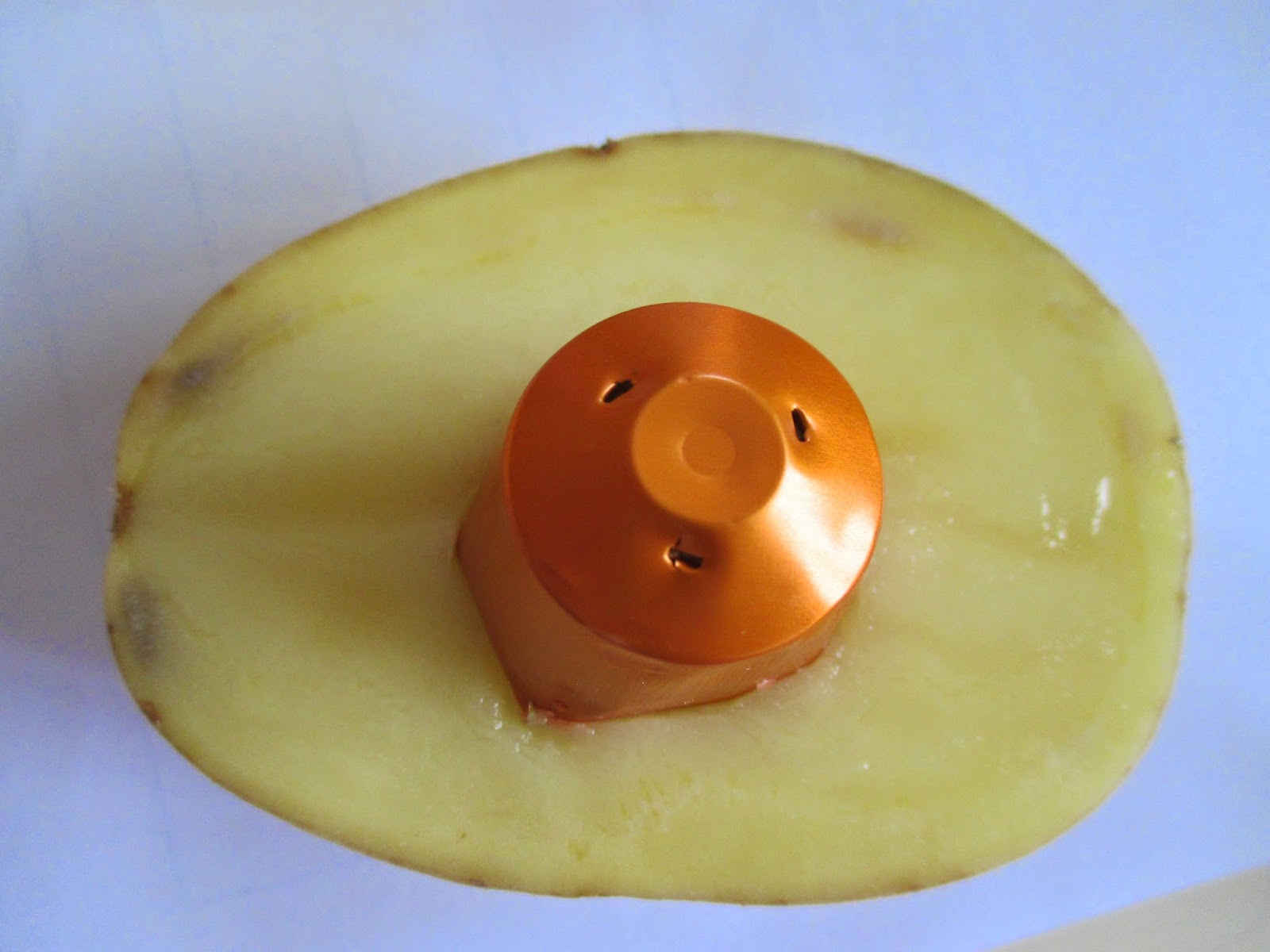 El Gran Pous: 6è B treballem la Cèl·lula a Medi