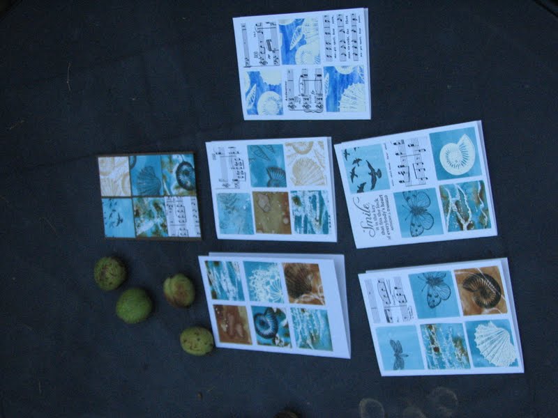 sharing cards and inspirations: summer cards