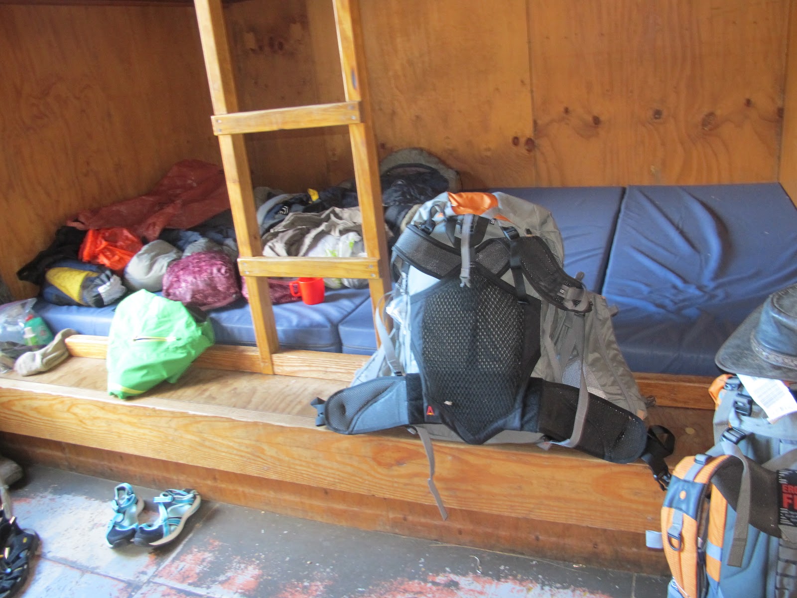 Come, walk with me.: Heaphy Track - day 2 Gouland Downs hut to Saxon Hut