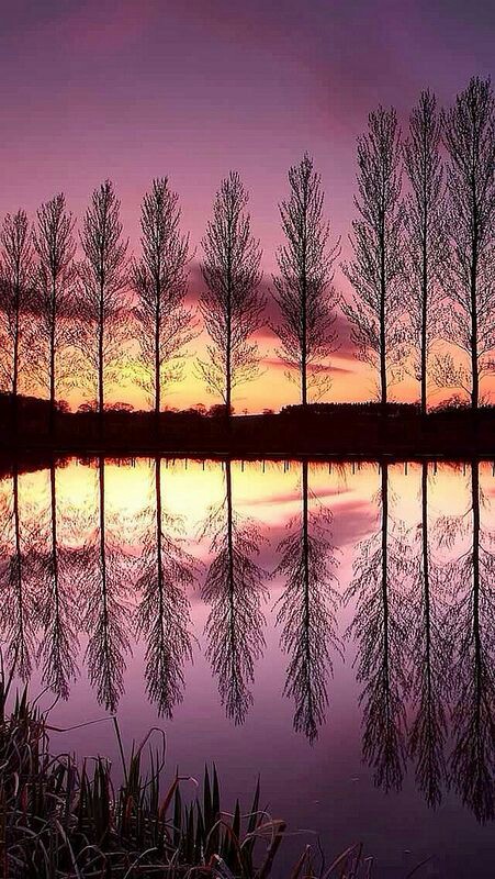 Art and Photography: Nature Reflection