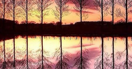 Art and Photography: Nature Reflection
