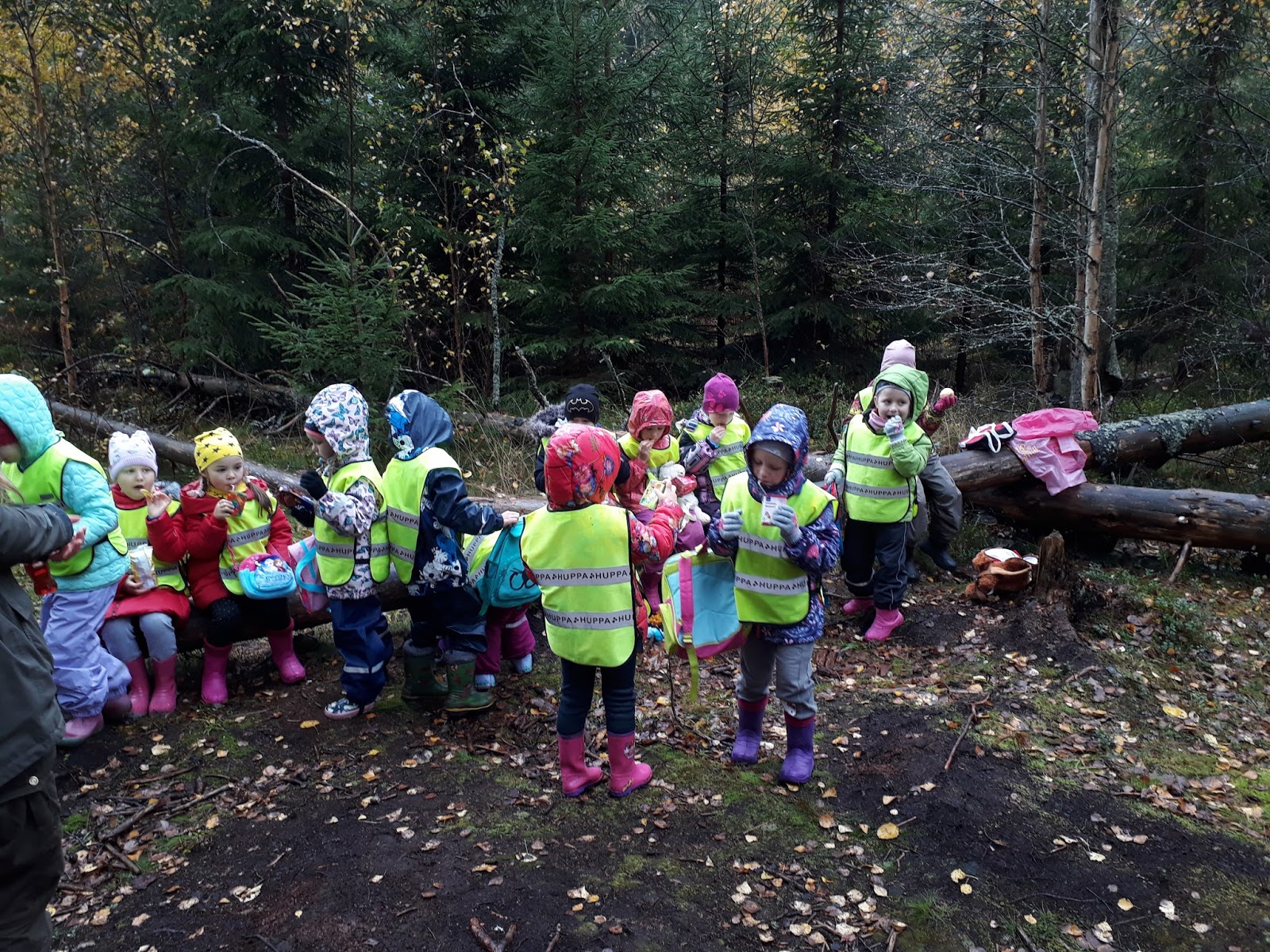 Roheline Kool Eestis Tallinna Tuule Lasteaed: Lapsed Tädu metsas