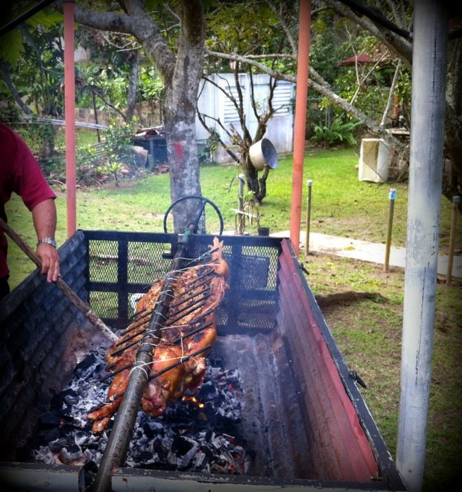 El Bohío de María : El LECHÓN EN SU VARA