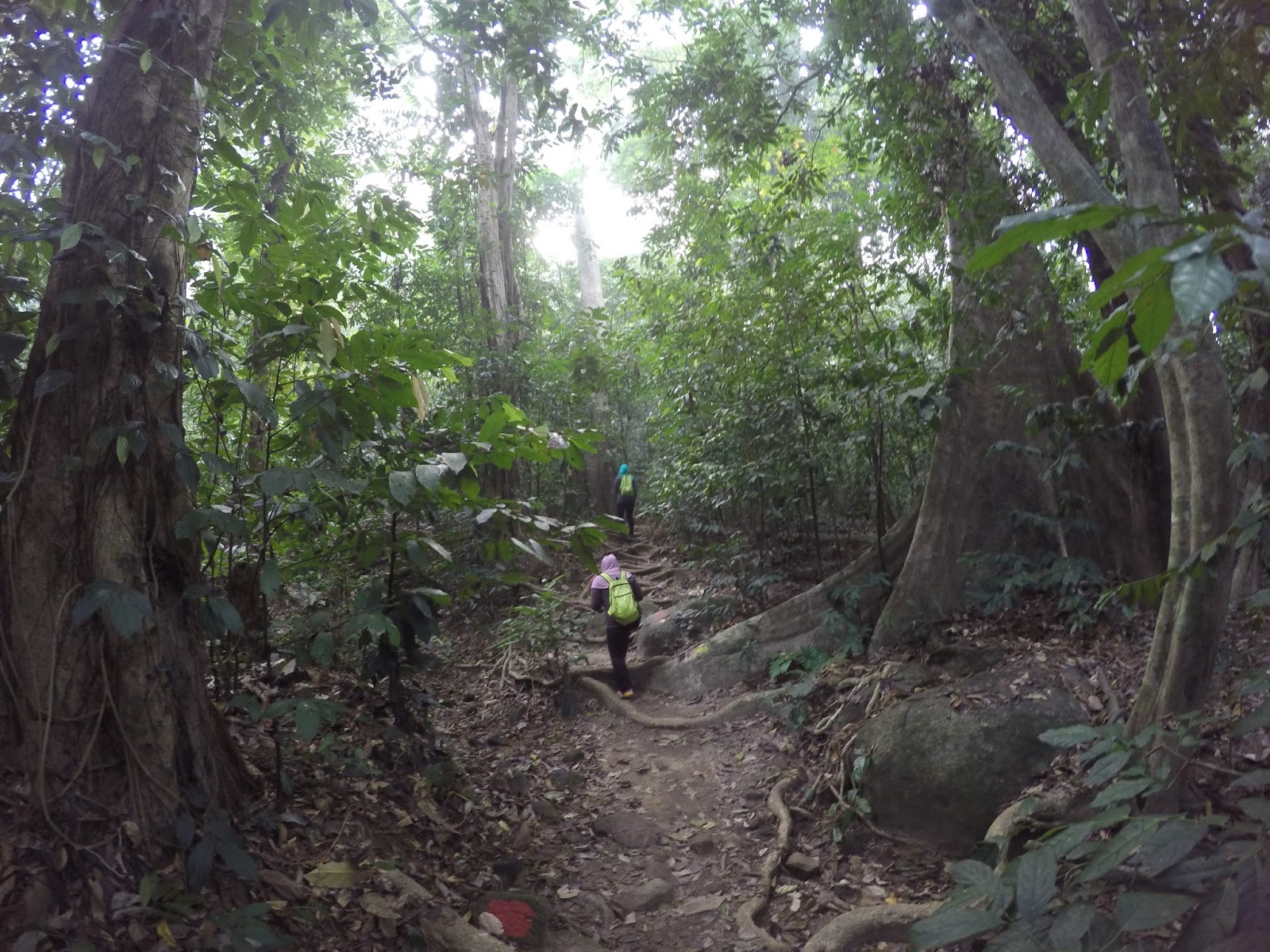 Hiking Gunung Datuk!