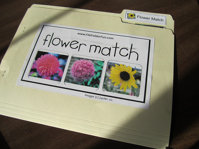 Frills: Preschool book, File Folder Games