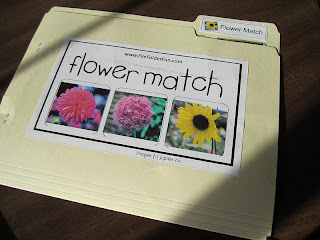 Frills: Preschool book, File Folder Games