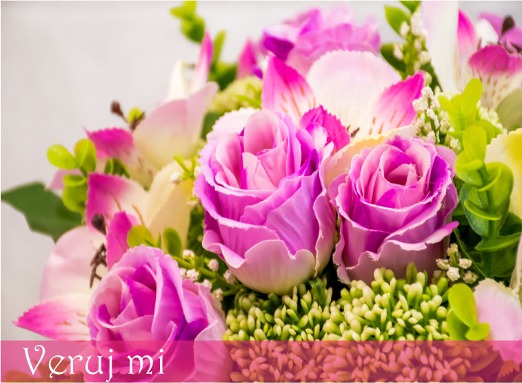 Ruže Majevice - Rasadnik ruža, Peljave. Sadnice ruža, stablašice, ruže ...