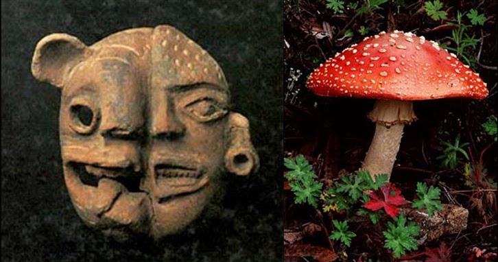 The Subversive Archaeologist: 'Shrooms and Ancient Mesoamerica: A ...