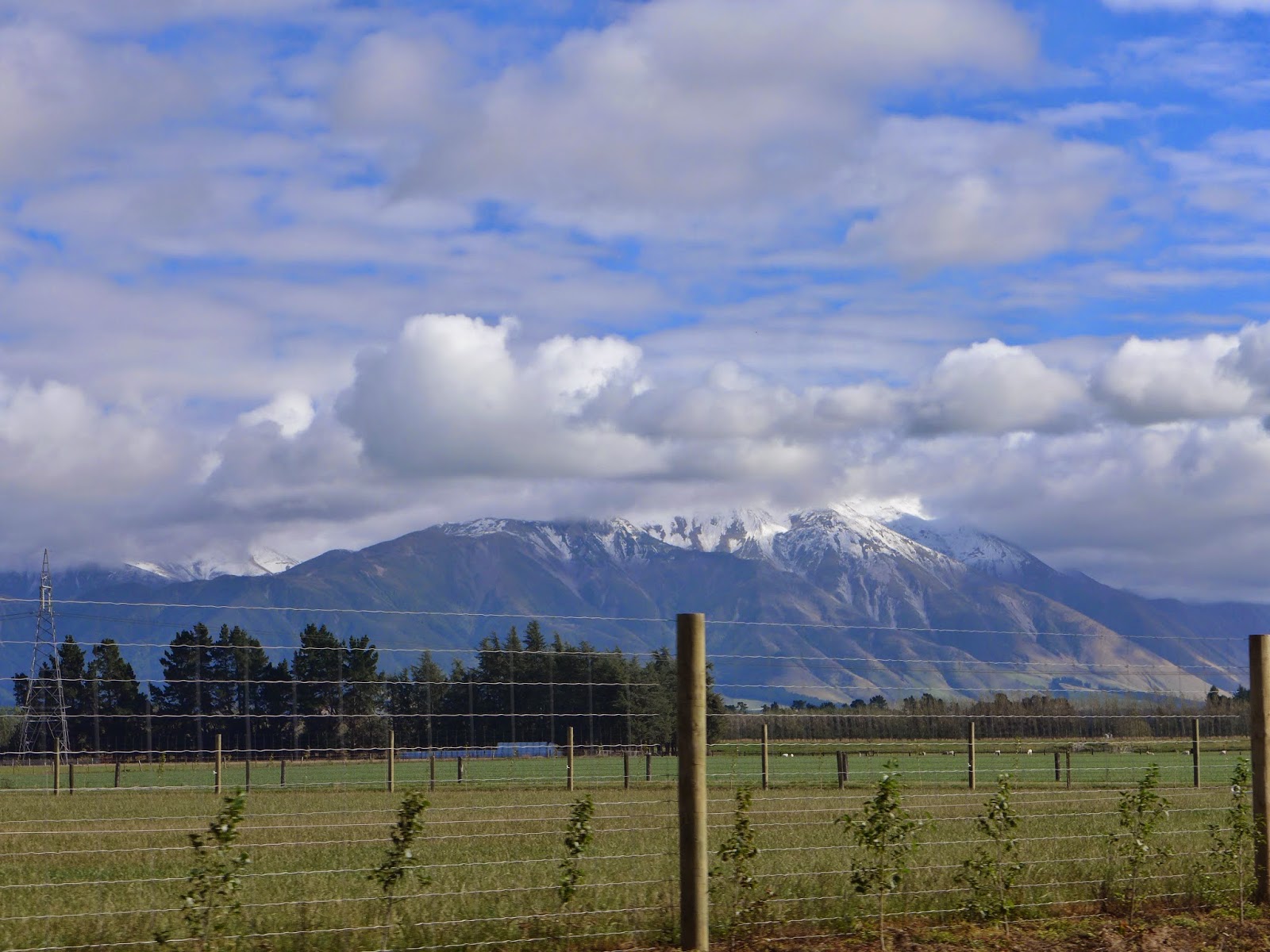 Wazza's Wanderers : Whymper Hut, Whataroa Valley.