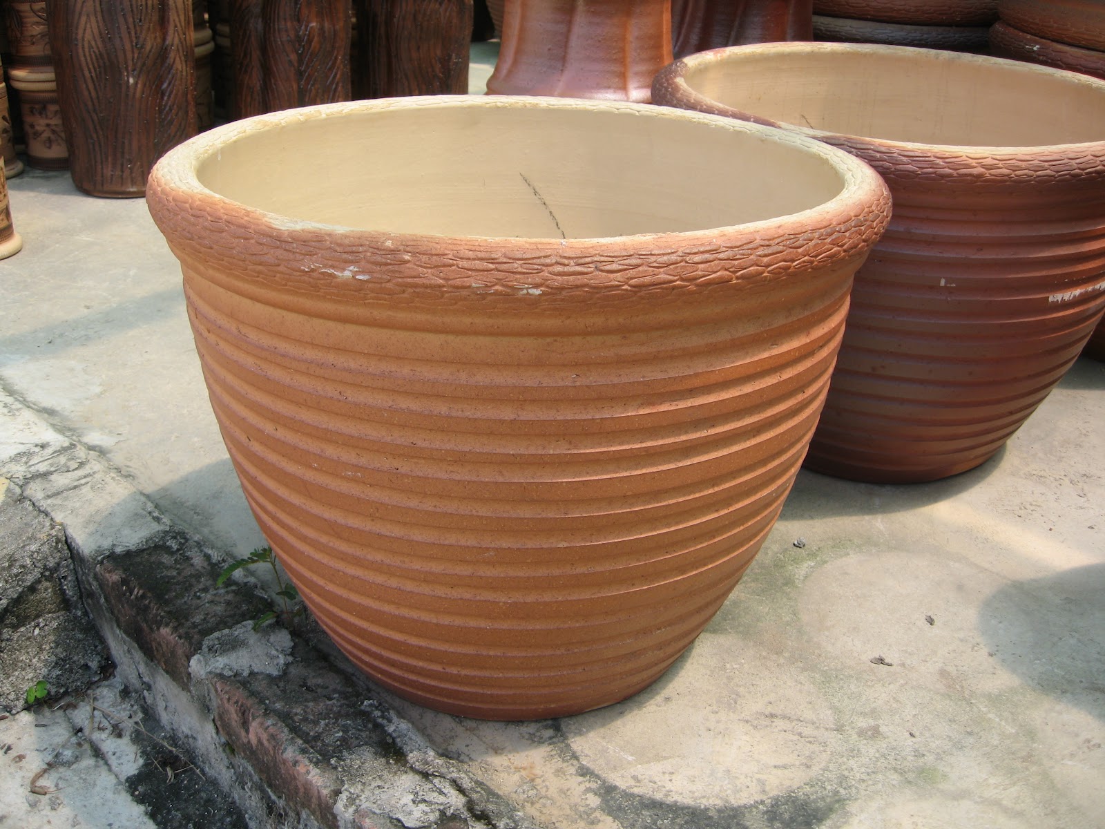 Plants, potteries and gardening products: September 2012