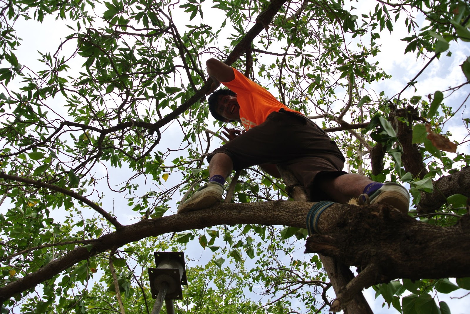 Walajabad Well Project with People Water - Rising Star Outreach