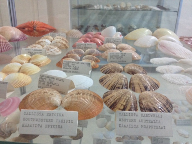 The Smarties Science Club: Sea Shell Museum, Corfu, Greece