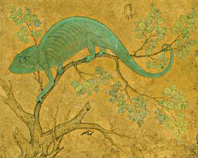 Carol- Mythologies: Precident to My Story: Zulu Creation Myth