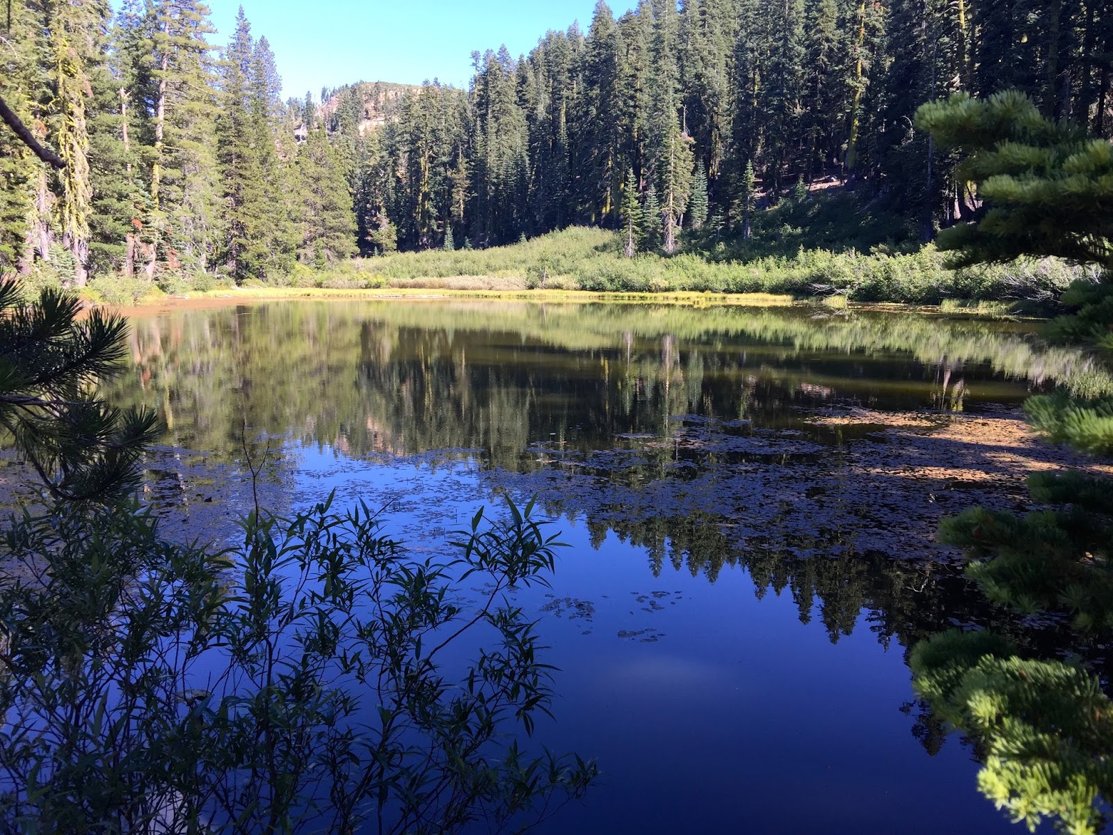 Island Lake - Grouse Ridge