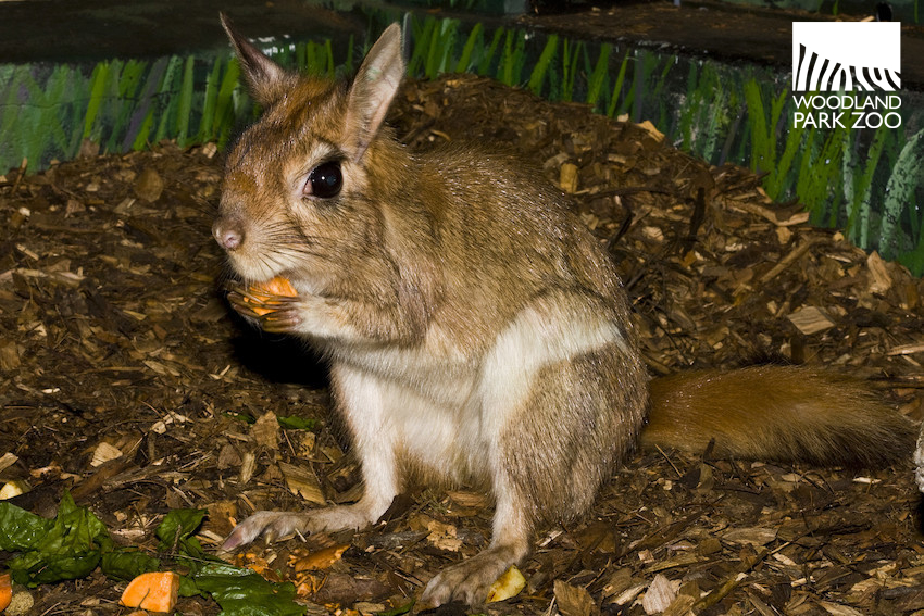 Happy 20th birthday to one of WPZ’s least known residents