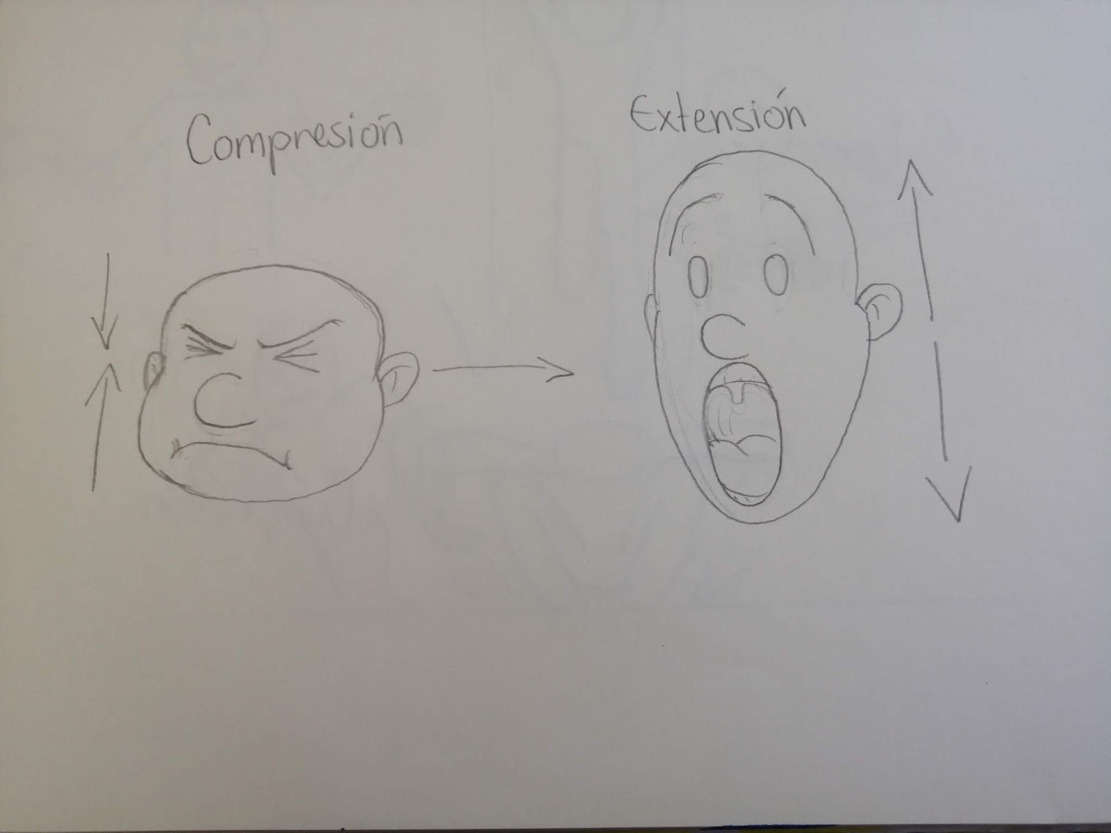 Lección #11: Compresión Y Extensión