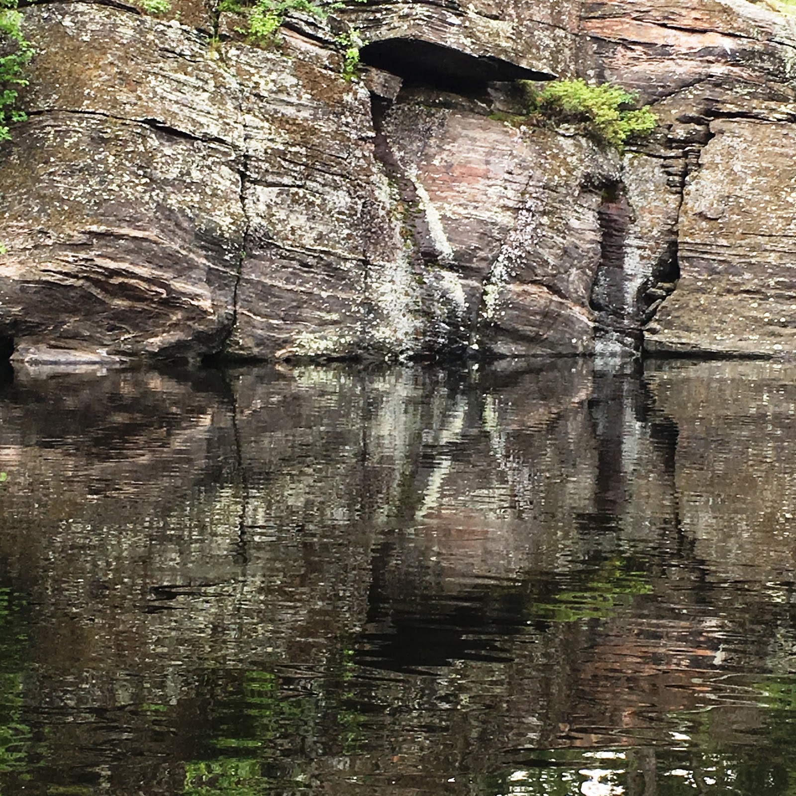 r-anne-dom: Day Tripping: Lake Nepewassi