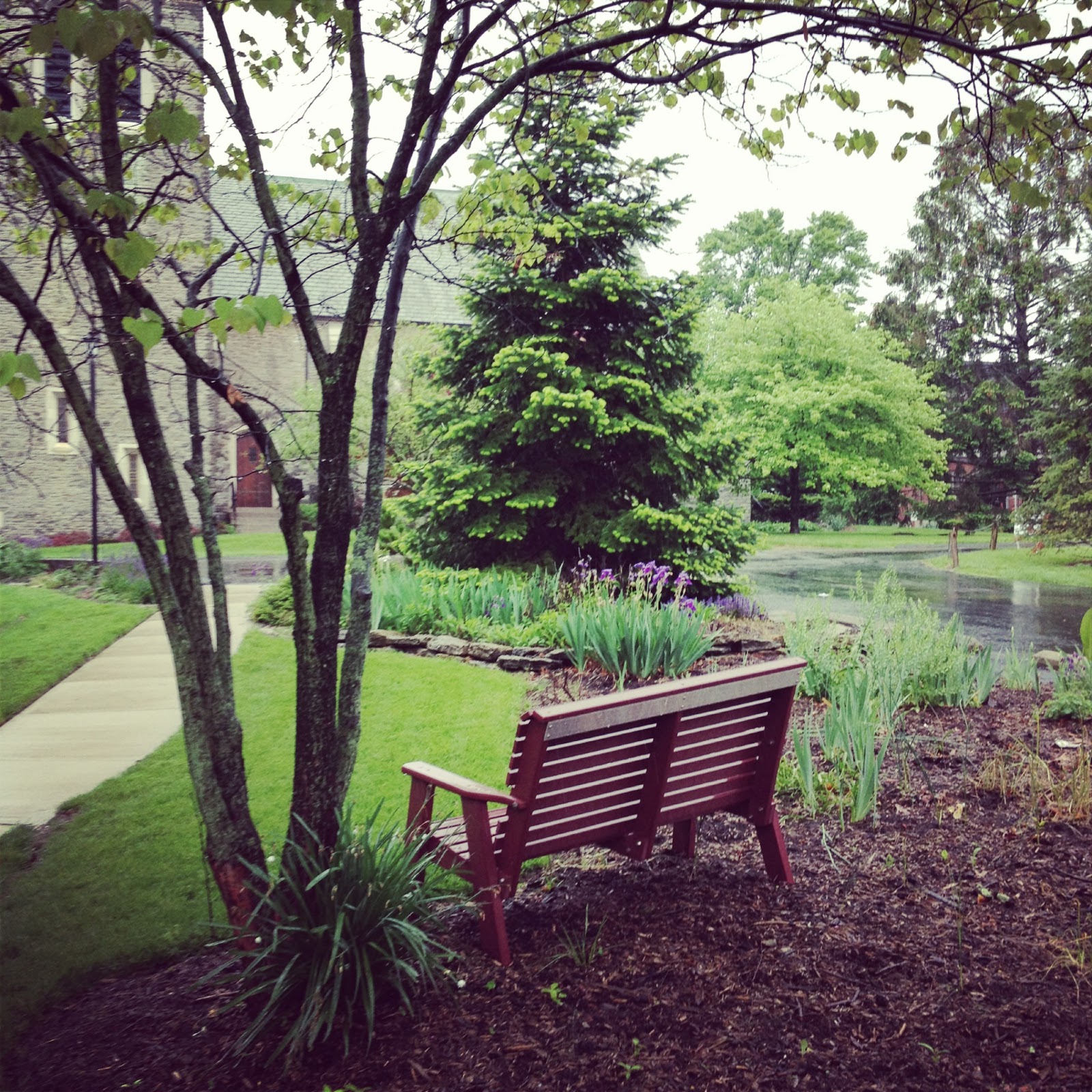 lisa gammel maas: in clover: open for business