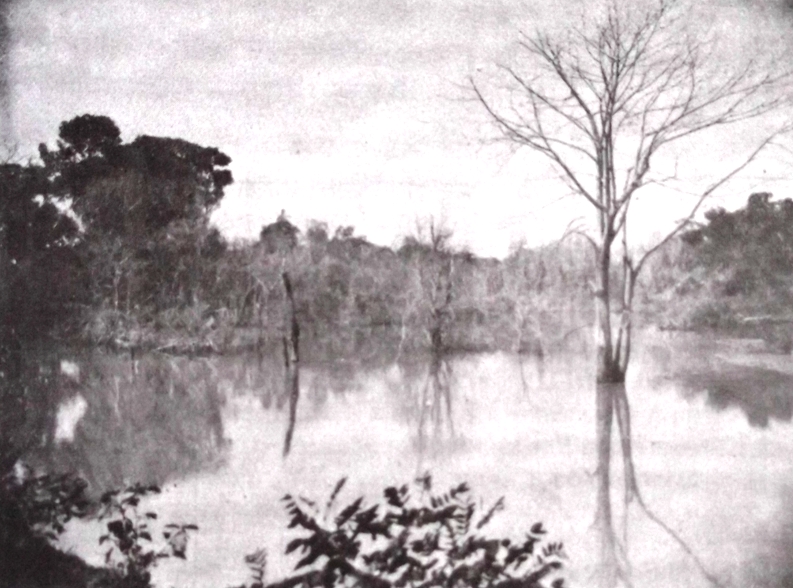 MEMÓRIA FOTOGRÁFICA DE SÃO JOSÉ DO RIO PRETO/SP: FOTOS Rio Preto Antiga